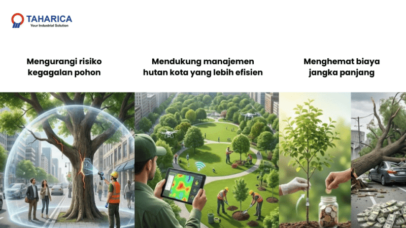 Monitoring Kesehatan Pohon: Solusi Canggih untuk Pohon Sehat - TAHARICA
